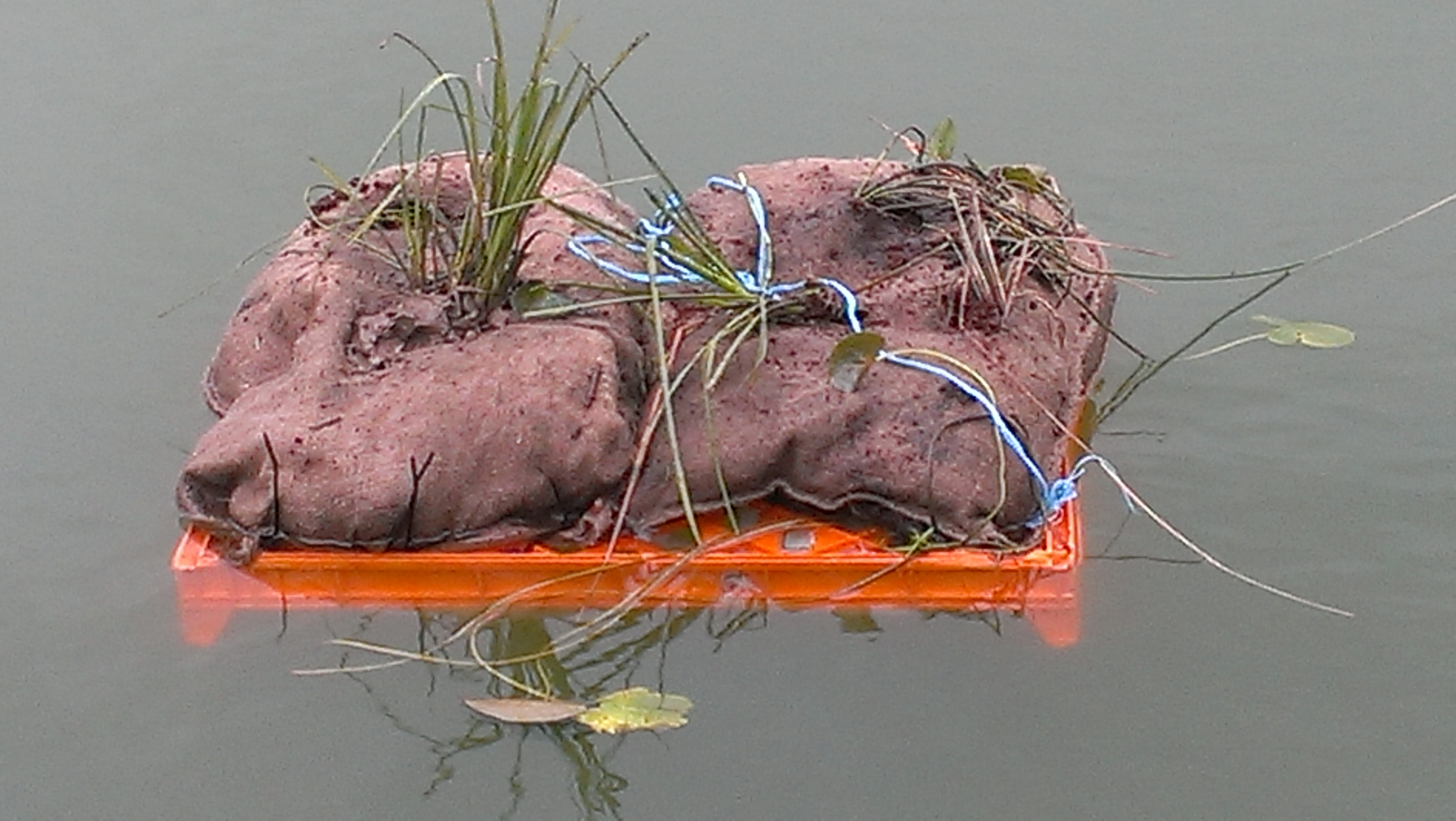 Environmental Information - Landtasia Compost